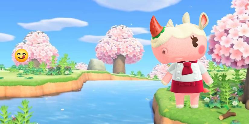 The 35 Best Animal Crossing: New Horizons Villagers