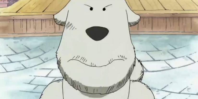Top 10 Animal Companions In One Piece