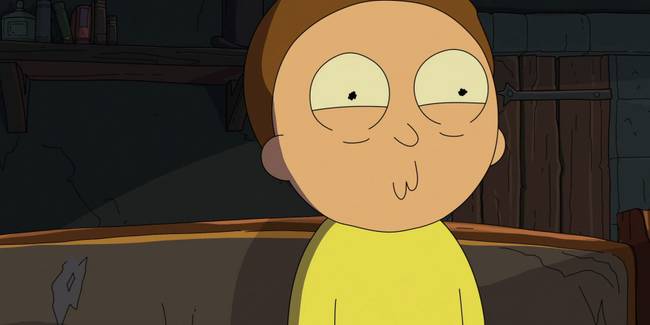 Every Main Character From Rick & Morty Ranked By Likability
