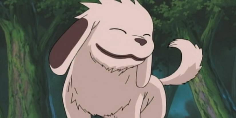 Naruto: 10 Things You Didn't Know About Akamaru