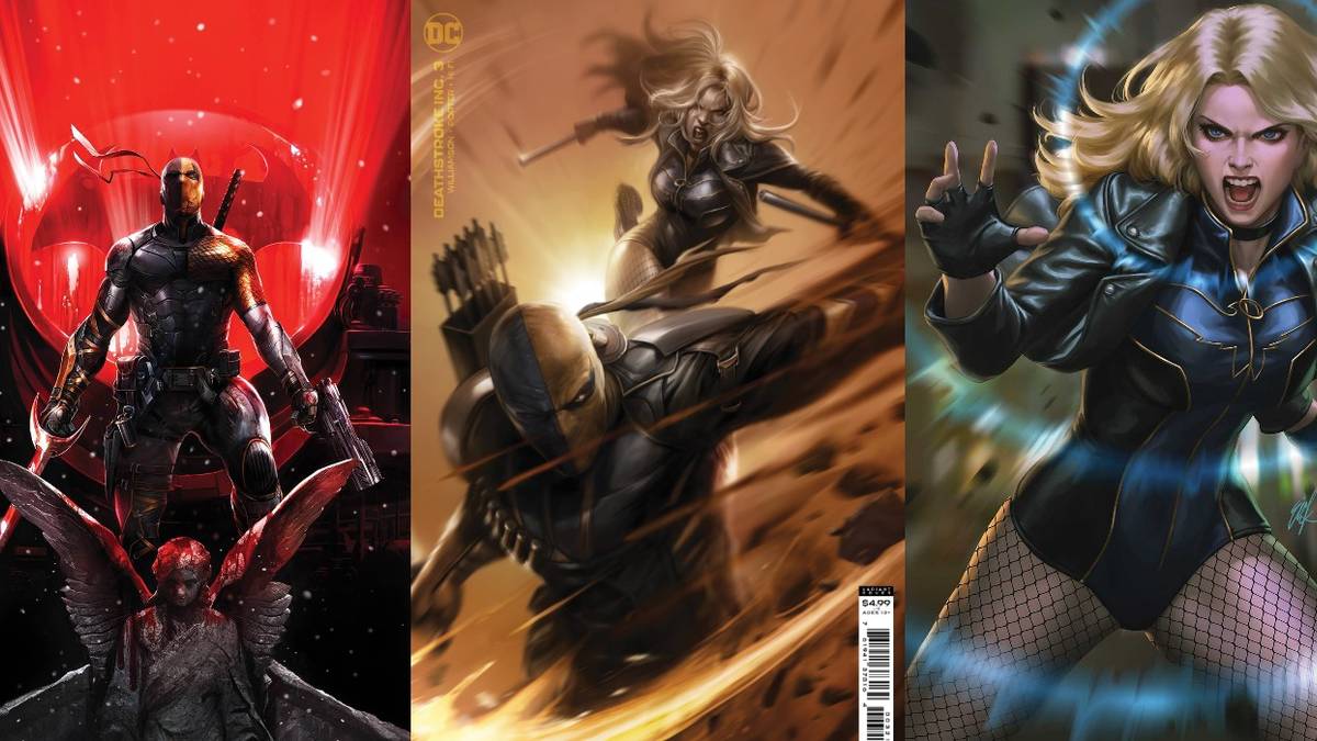 10 Things You Didn't Know About Deathstroke & Black Canary's Relationship