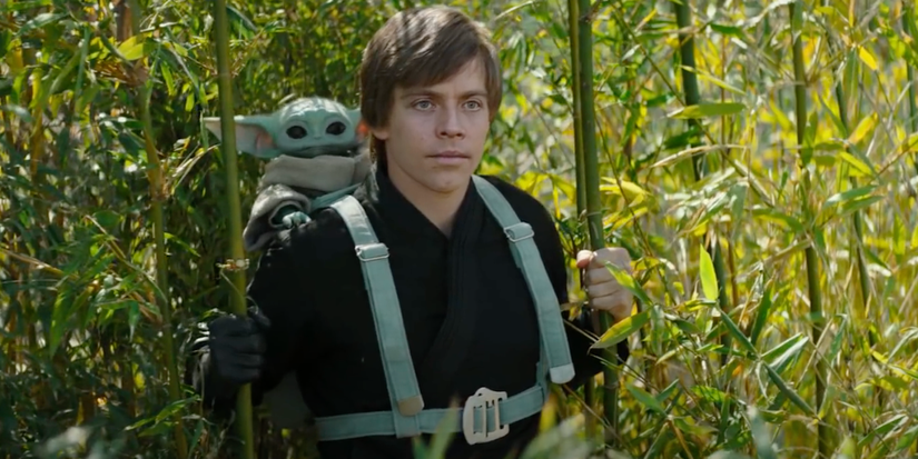 Why did Luke Make Grogu Chose Between Being a Jedi and a Mandalorian?