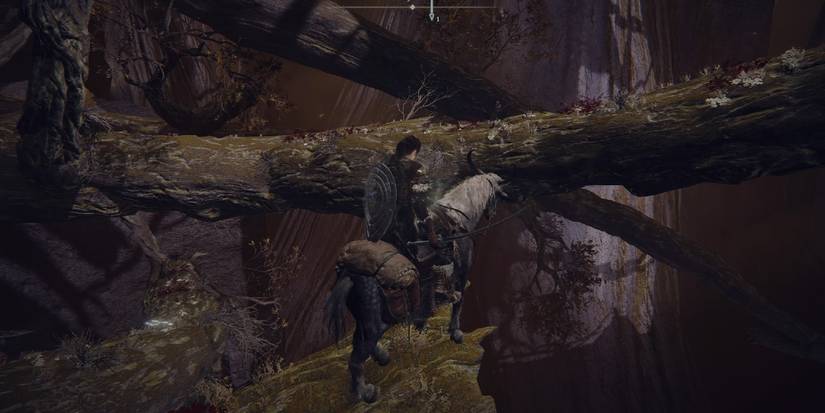 Elden Ring's Jump Button Is More Important Than Its Open World
