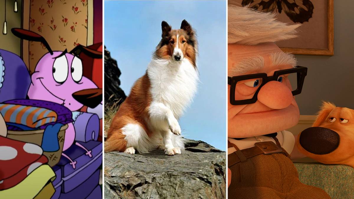 10 Best TV Dogs, Ranked