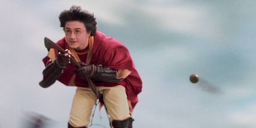 The Wildest Mistranslations in the Harry Potter Movies