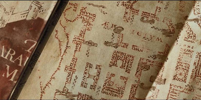 How Fantastic Beasts' Newt Scamander Had a Cameo in Harry Potter