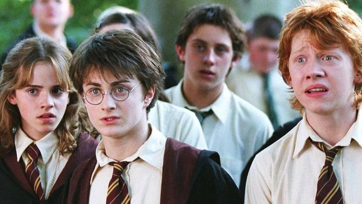 22 Years Later, Harry Potter's Most Random Character Still Stole Every ...