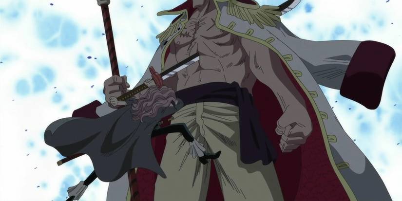 10 Worst Injuries In One Piece, Ranked