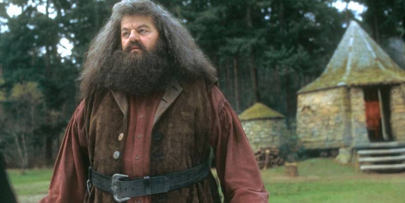 10 Things Only Harry Potter Book Readers Know About Hagrid