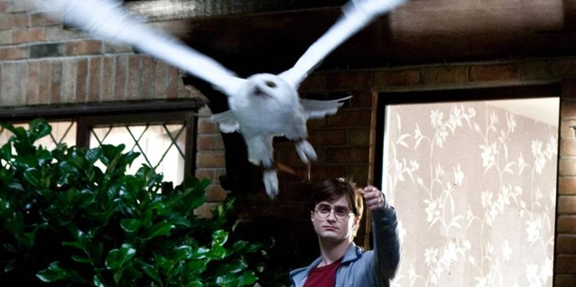 10 Major Harry Potter Questions That Still Haven't Been Answered
