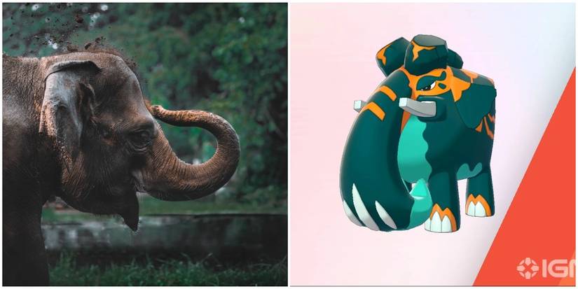 10 Animals That Technically Exist In The Pokémon Universe