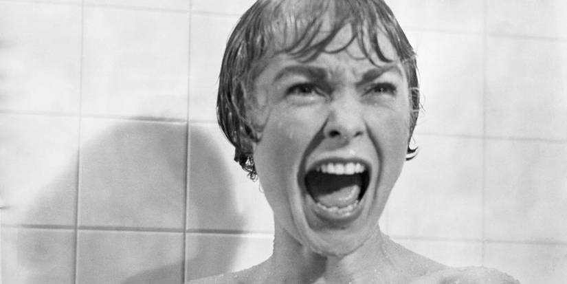 Roger Ebert Claimed 1 Single Scene Stopped Psycho From Being a Flawless ...