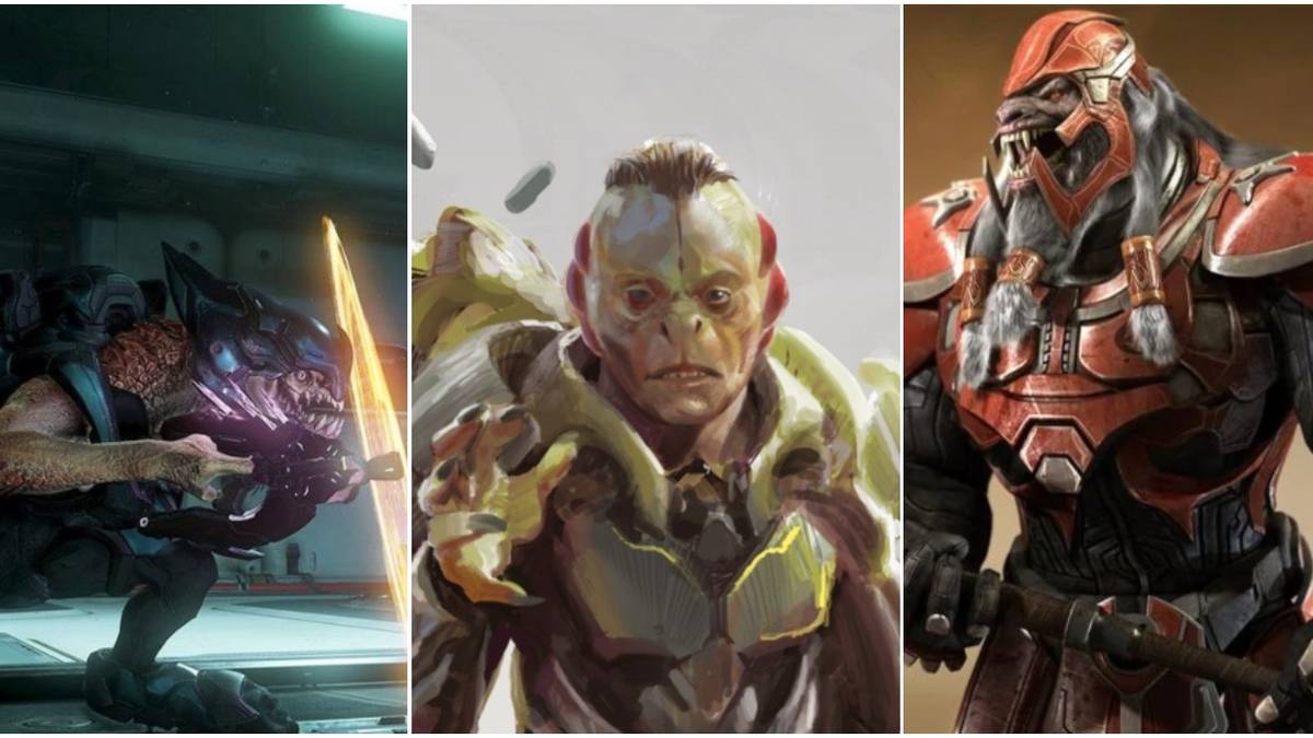 10 Best Alien Species In Halo