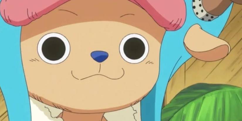 One Piece's Straw Hat Pirates, Ranked By Screen Time