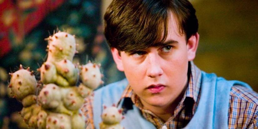 Neville Longbottom's 10 Greatest Accomplishments In Harry Potter