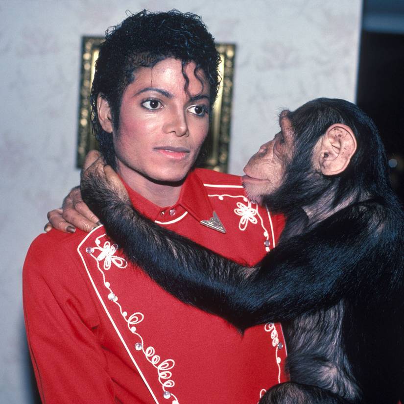 There Was Nearly an Animated Series Based on Michael Jackson's Pets