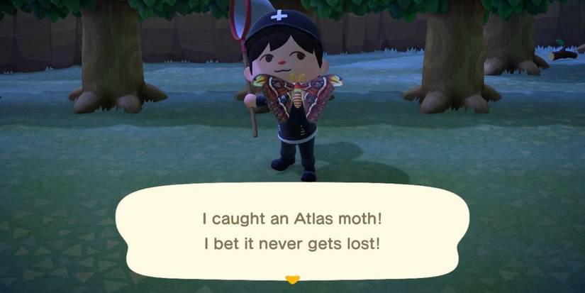 How to Catch Bugs in ACNH