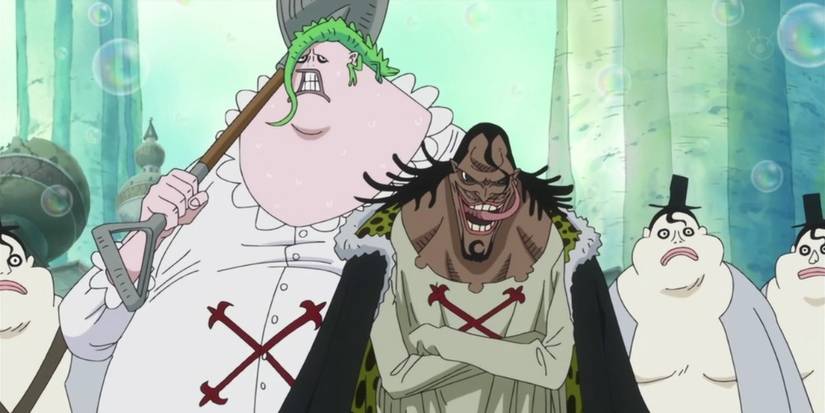 10 One Piece Characters Who Make The Dumbest Decisions