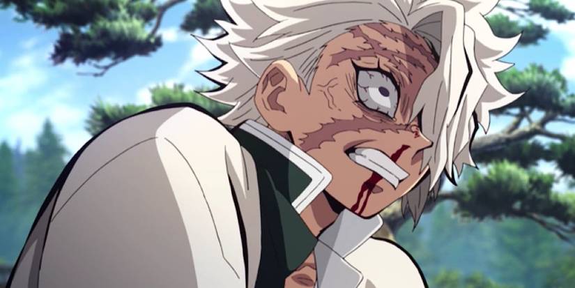 Demon Slayer's Most Disliked Characters, Ranked