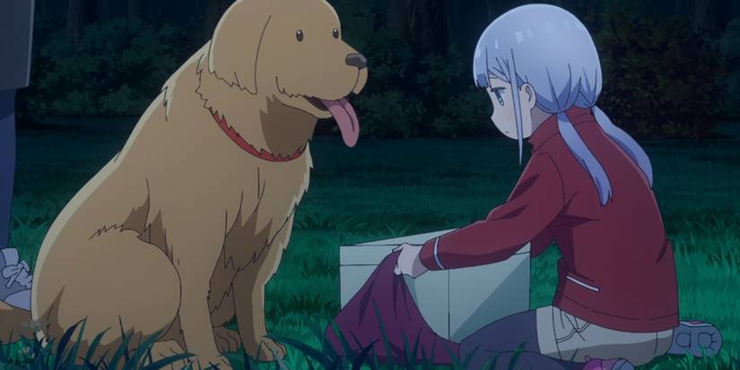 Anime Loves Great Pyrenees Dogs - Here's Where to Watch Them