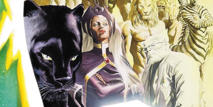 10 Best Storm Variants, Ranked