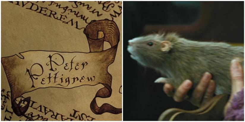 7 Times Harry Potter Broke Its Own Rules