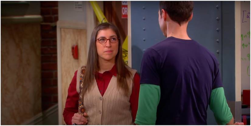 The Big Bang Theory: Who Is The Main Character Of Each Season?