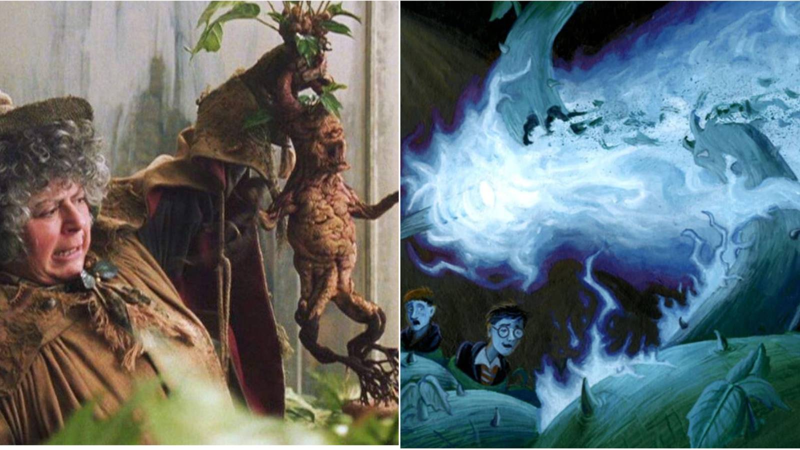 Top 10 Most Helpful Plants In Herbology In Harry Potter