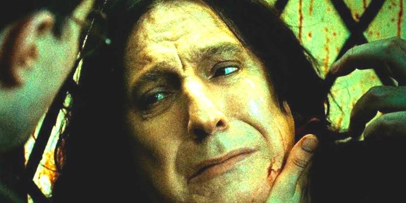 10 Times The Hogwarts Professors Stole The Show In Harry Potter