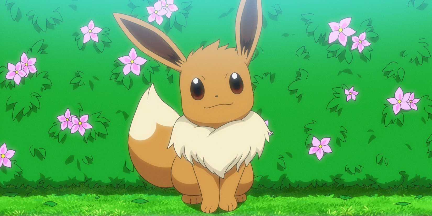 Pokémon Announces 2025 Year of Eevee (& Lots of Exciting Merch)