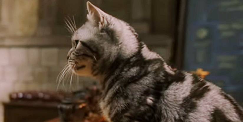 Every Animagus In Harry Potter, Ranked By Size