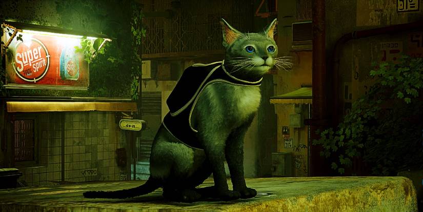 Stray: 5 Adorable Mods That Make the Game Even Cuter