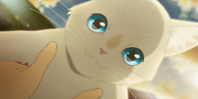 10 Best Anime For Cat Lovers