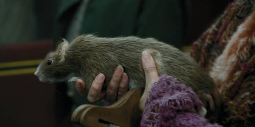 Harry Potter: Molly Weasley Kicked Off Prisoner of Azkaban