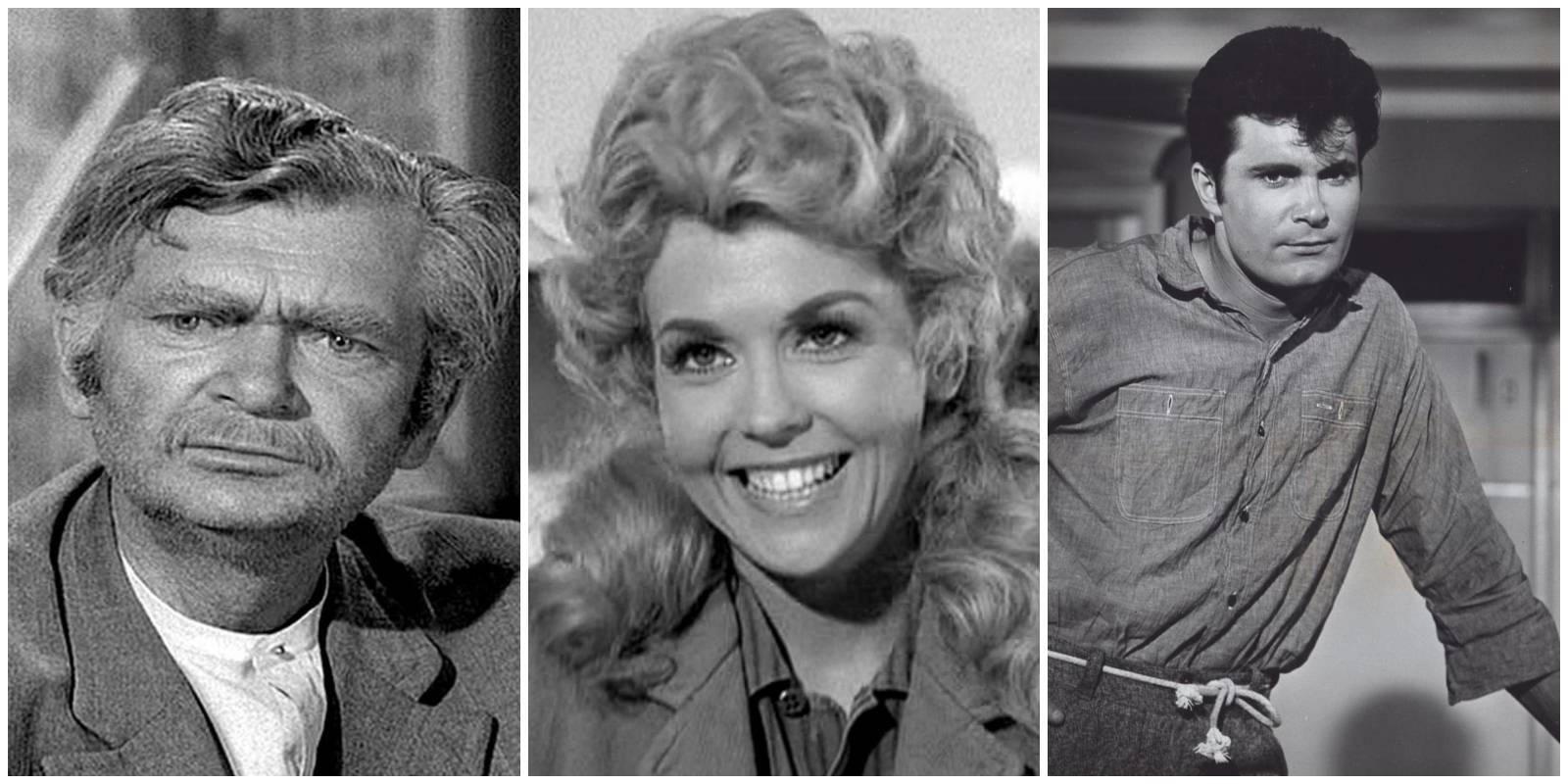 Beverly Hillbillies: 10 Best Episodes, Ranked