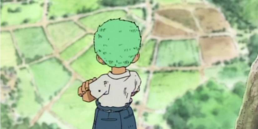 One Piece's Roronoa Zoro's Family Tree, Explained