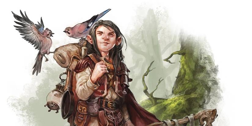 DnD 5e Circle of the Land Druid Build Guide