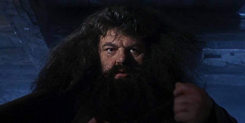 10 Things Only Harry Potter Book Readers Know About Hagrid