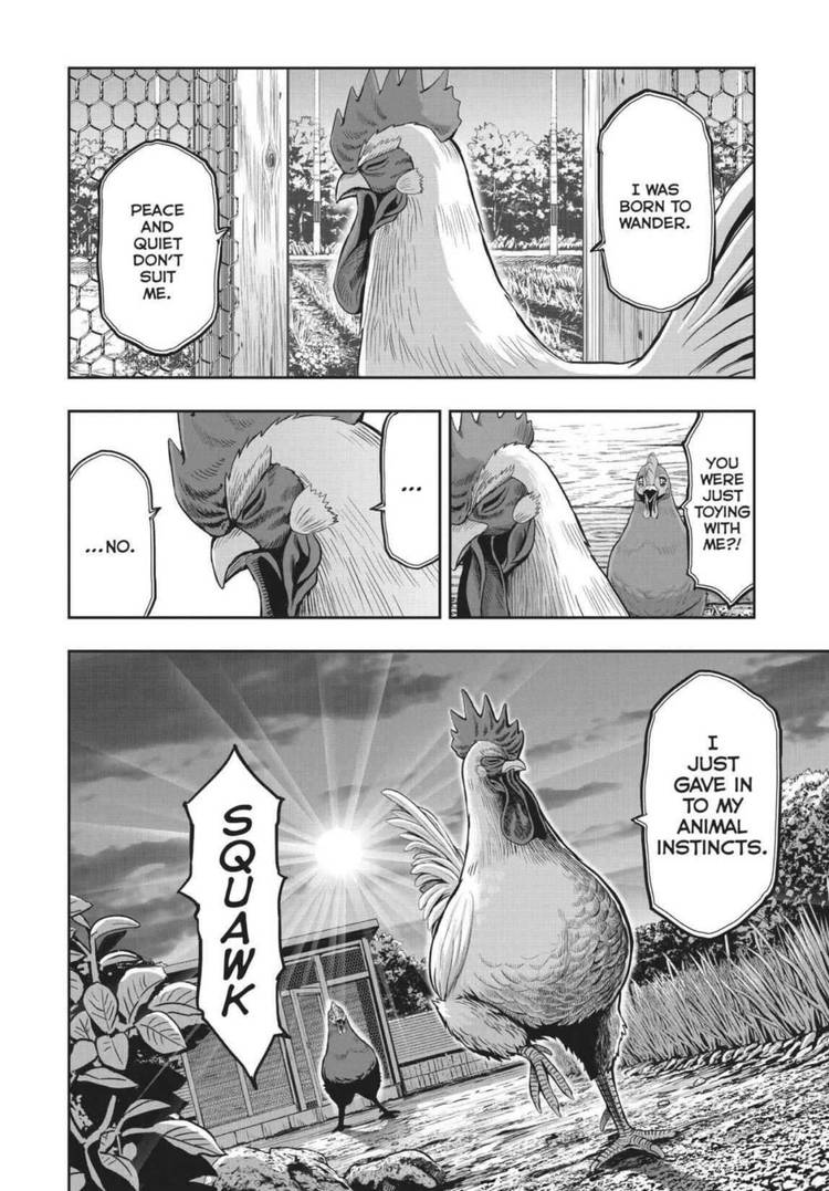 REVIEW: Rooster Fighter Vol. 1