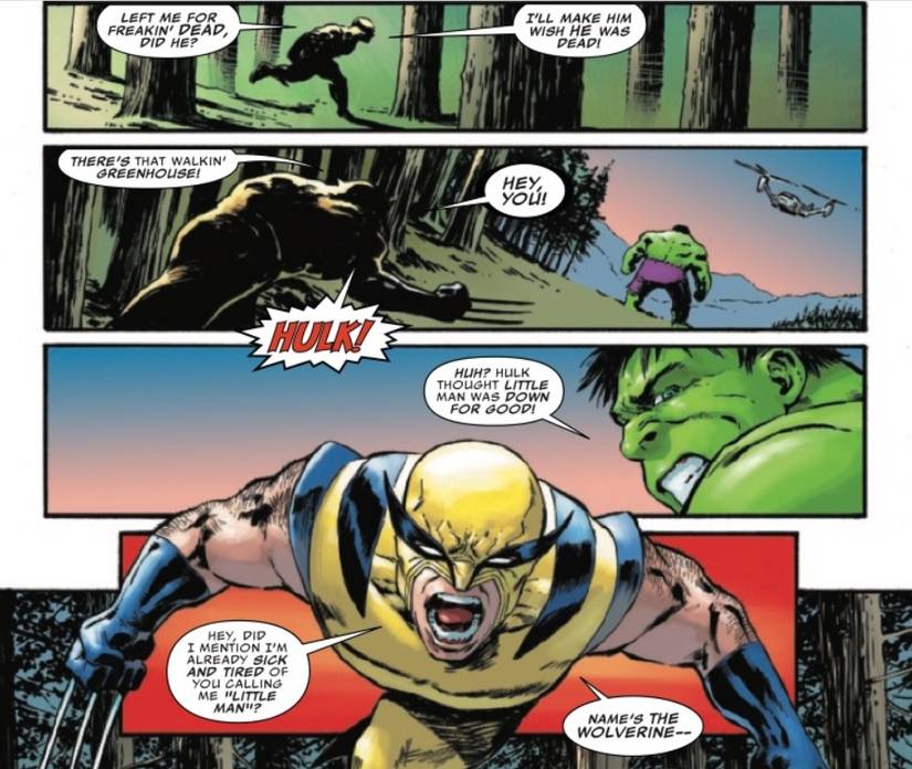 Wolverine and the Hulk Fight in Marvel's X-Men Legends #1