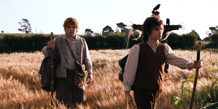 Why Did Frodo Stay in the Shire With the Ring?