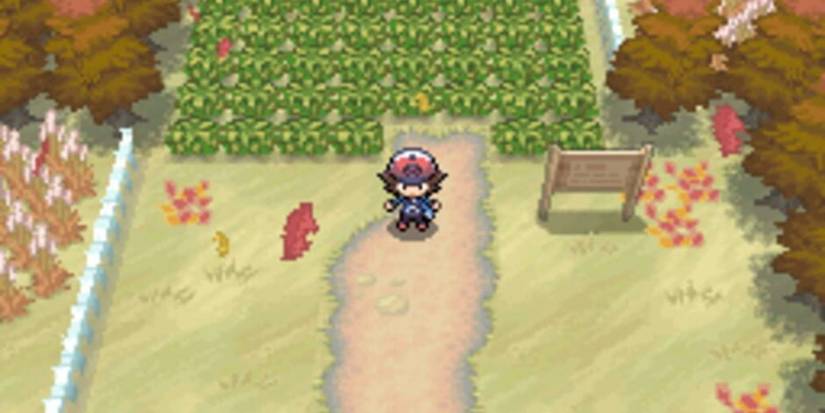 10 Details Pokémon Black & White Added That Totally Changed the Series