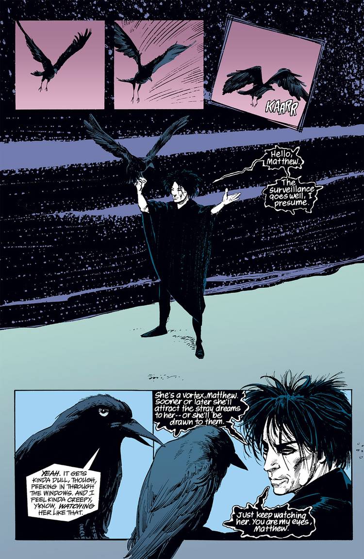 See the Surprising Comic Book Origins of The Sandman's Matthew the Raven