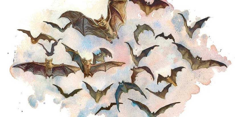 The 10 Best D&D Familiars, Ranked