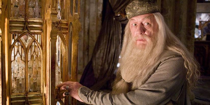 Harry Potter: The Main Professors Hogwarts Houses