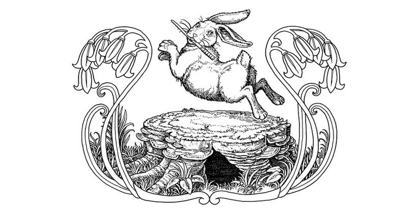 10 Strongest Animagi In Harry Potter, Ranked