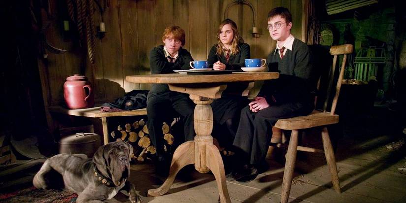 Top 10 Harry Potter Spells That Deserved Way More Screen Time