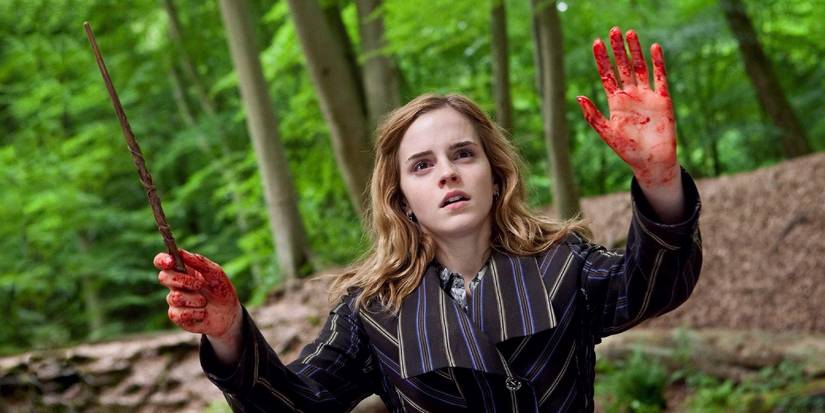 Every Main Character's Fate In The Harry Potter Movies