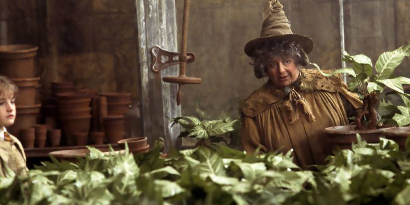 Harry Potter: The Main Professors Hogwarts Houses