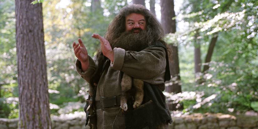 10 Things Only Harry Potter Book Readers Know About Hagrid